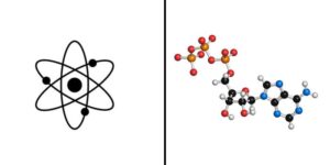 Kuo skiriasi Atomas nuo Molekulės? - kuoskiriasi.lt
